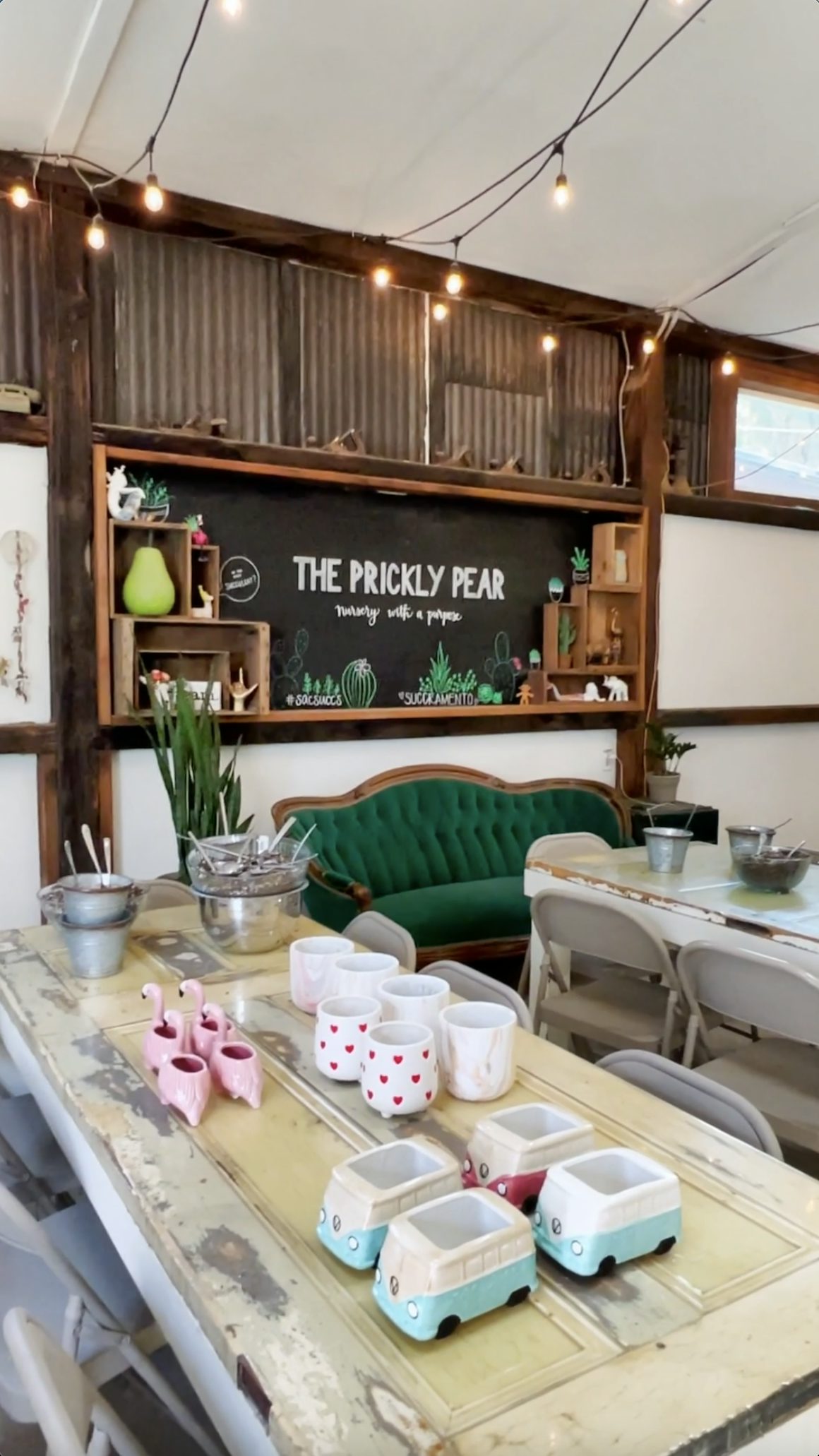 Tour The Prickly Pear in Sacramento, California
