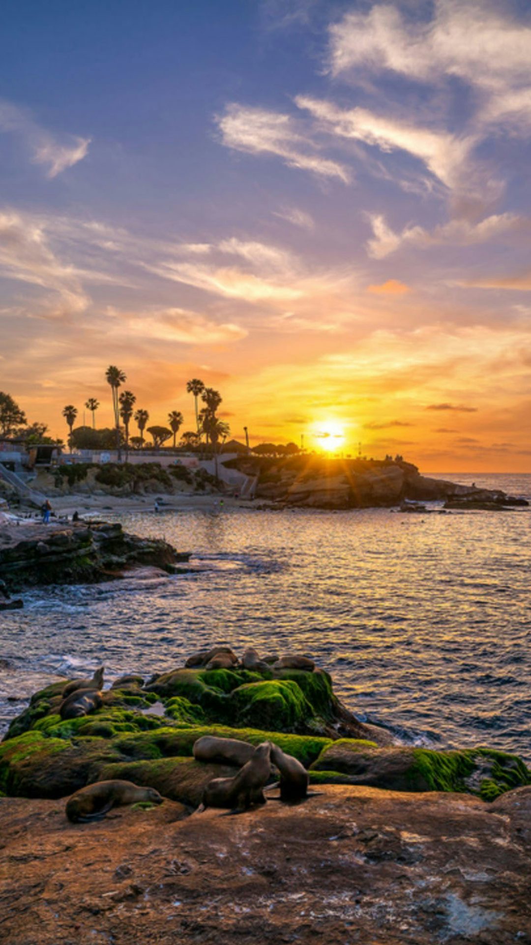 7 Things to Do, See, and Eat in La Jolla