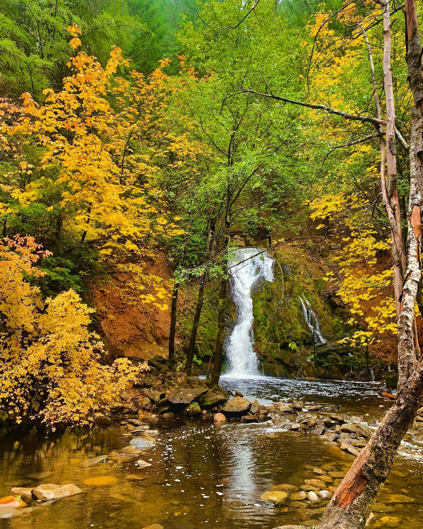 Waterfalls & Wildflowers